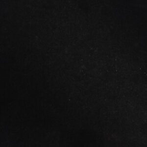 Raven Noir - Coldspring